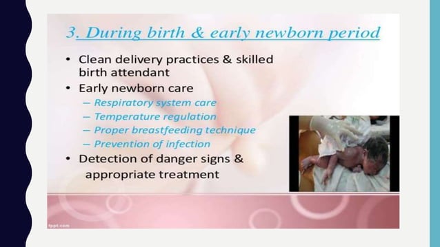 Normal Neonates | PPTX | Pregnancy | Reproductive Health