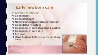 Normal Neonates | PPTX | Pregnancy | Reproductive Health