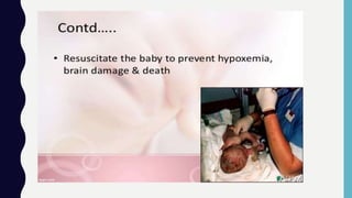 Normal Neonates | PPTX