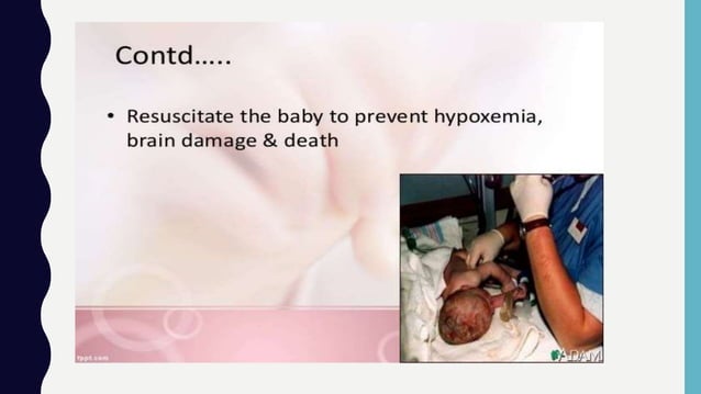 Normal Neonates | PPTX | Pregnancy | Reproductive Health