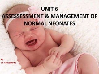 NORMAL NEONATES | PPTX