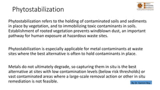 Unit 6 phytoremediation sol220 | PPT