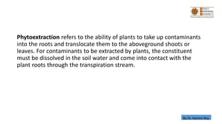 Unit 6 phytoremediation sol220 | PPT