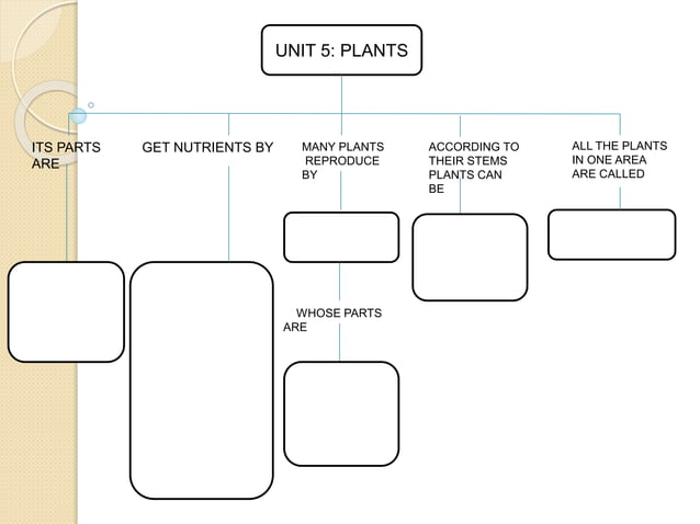 Unit 5 plants | PPT