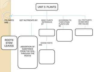 Unit 5 plants | PPTX