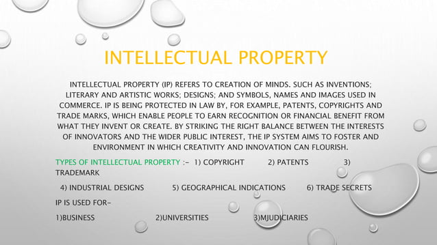 Unit 6 Portfolio Project intellectual property.pptx