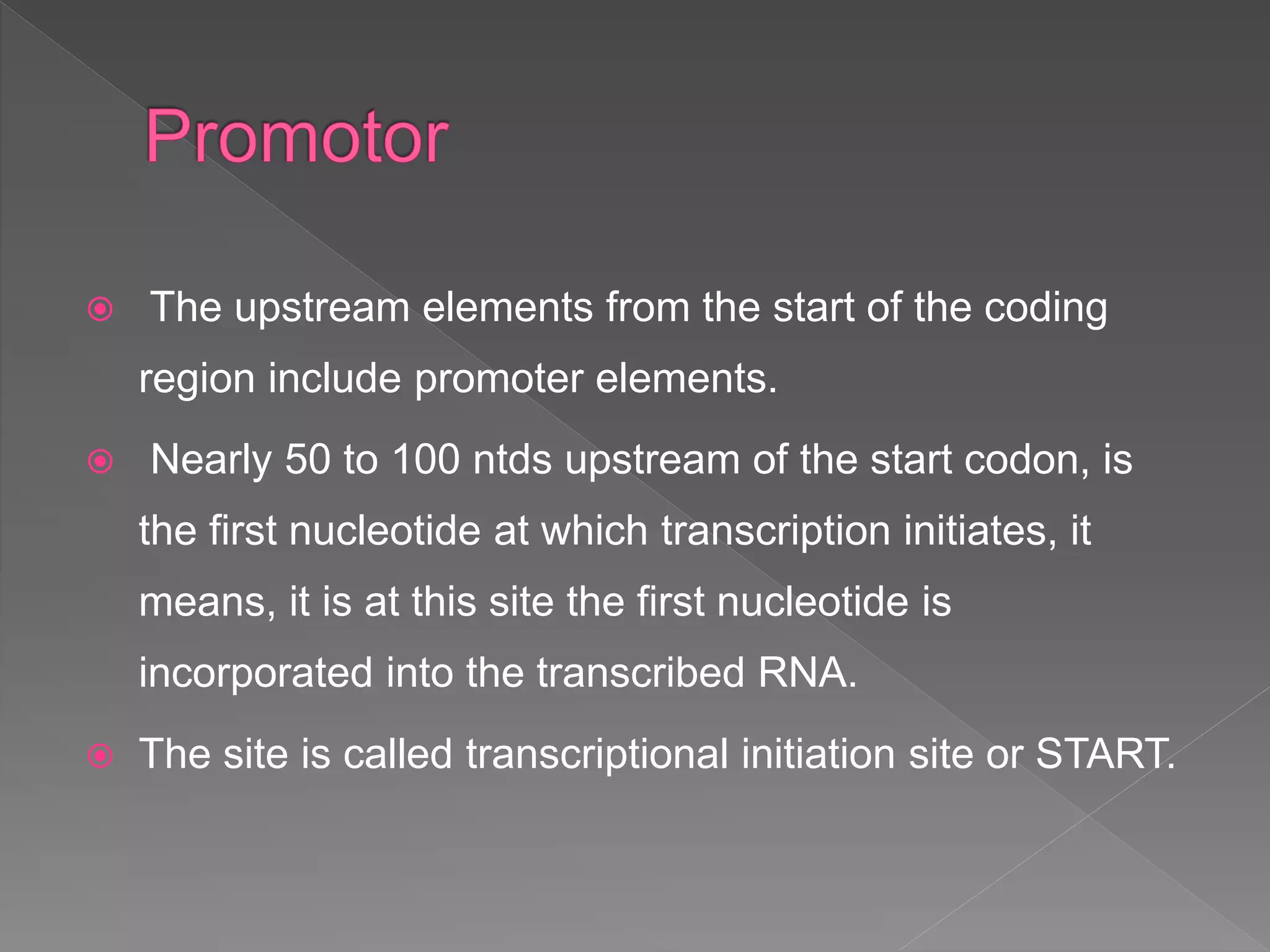 Unit 6 prokaryotic gene structure | PPTX