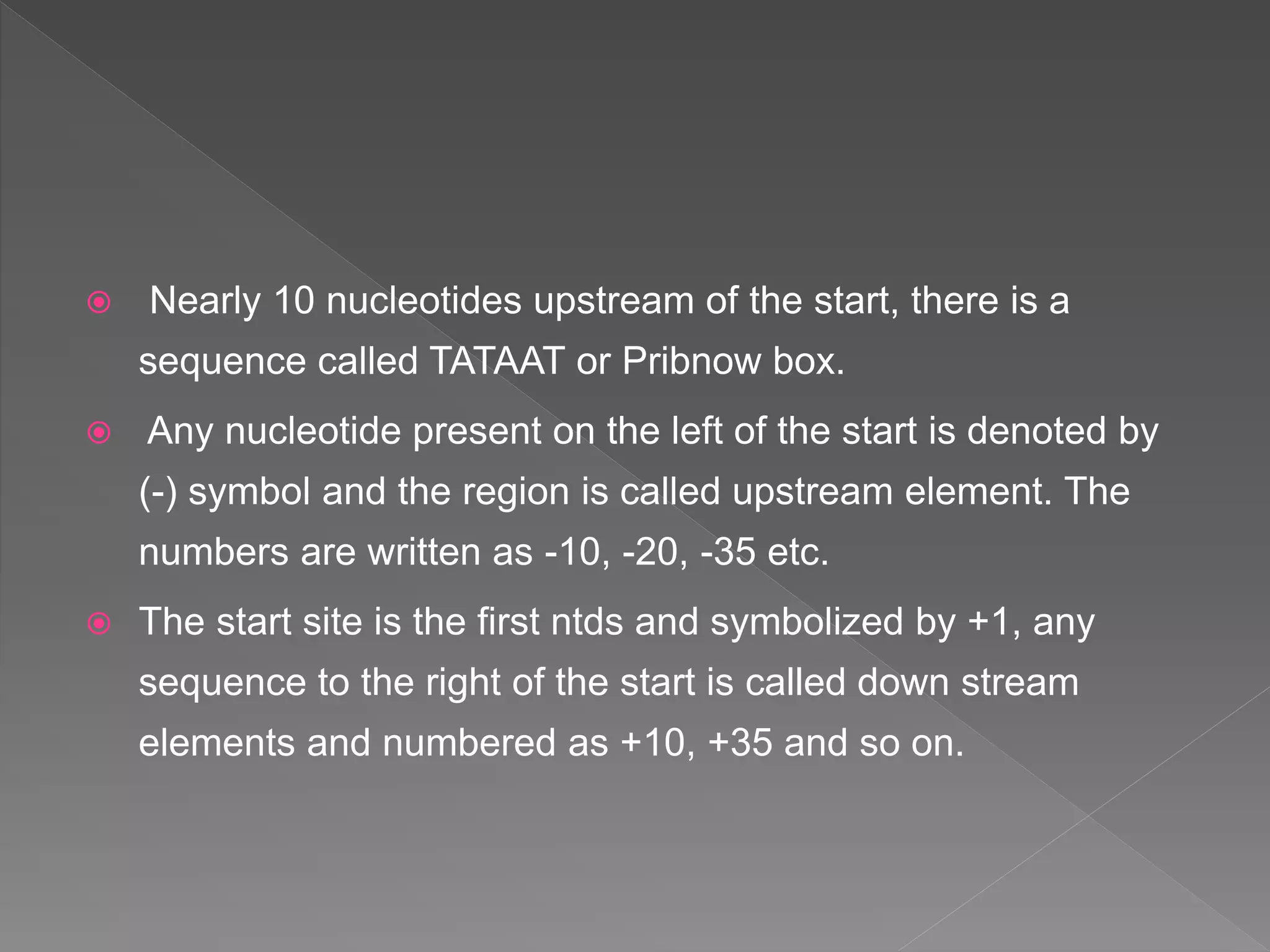 Unit 6 prokaryotic gene structure | PPTX