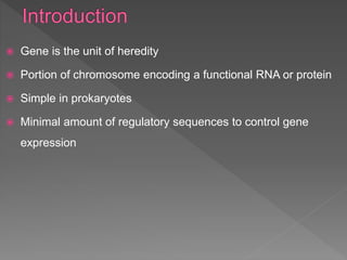 Unit 6 prokaryotic gene structure | PPTX