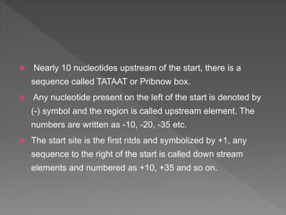 Unit 6 prokaryotic gene structure | PPTX