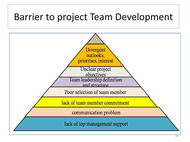 Project team management | PPTX | Business Administration | Business