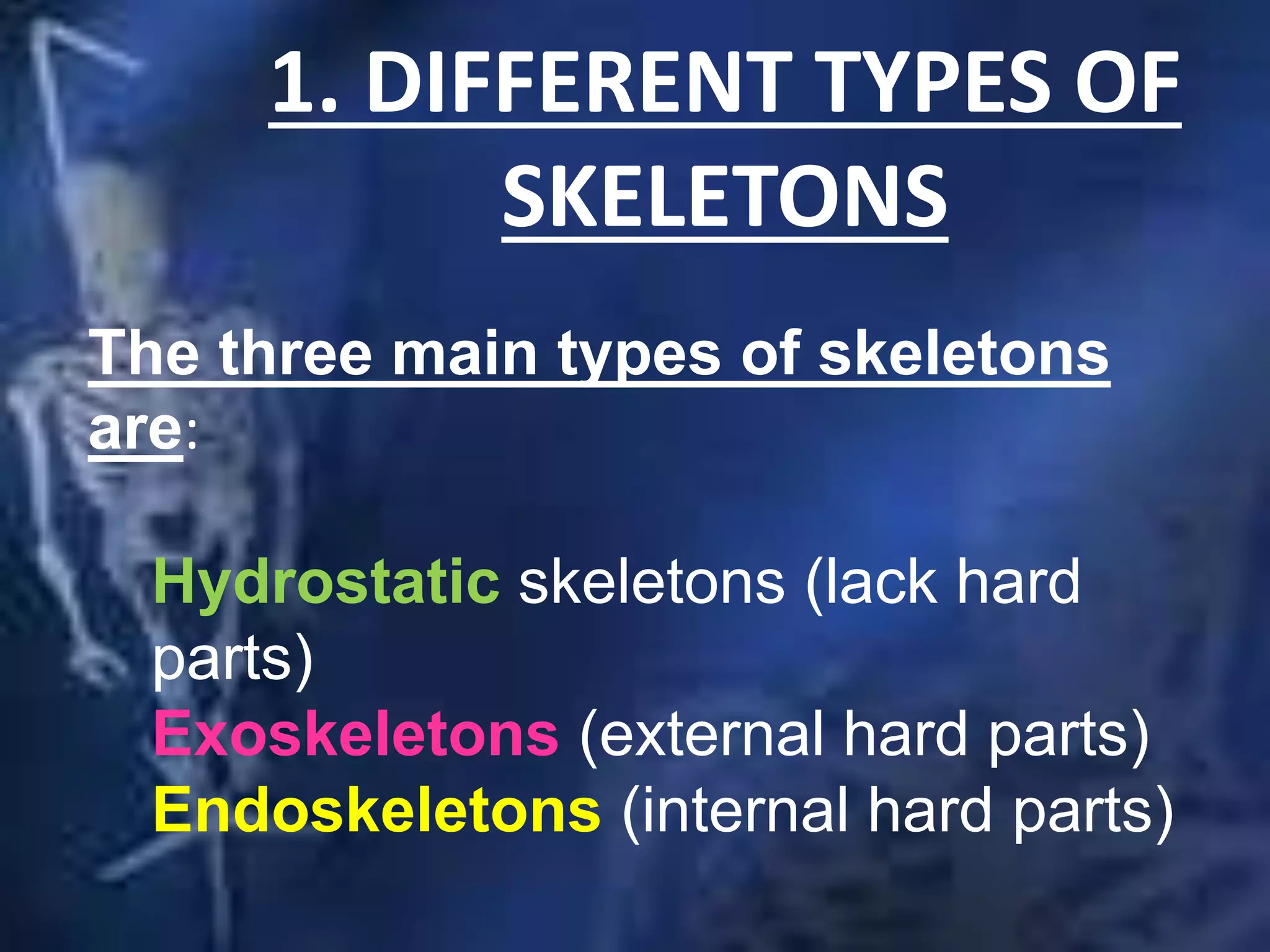 Unit 6 support systems in animals | PPTX