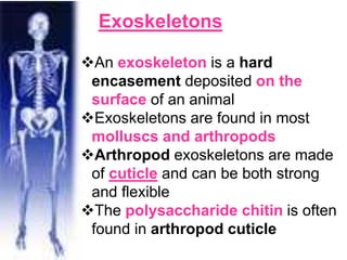 Unit 6 support systems in animals | PPTX