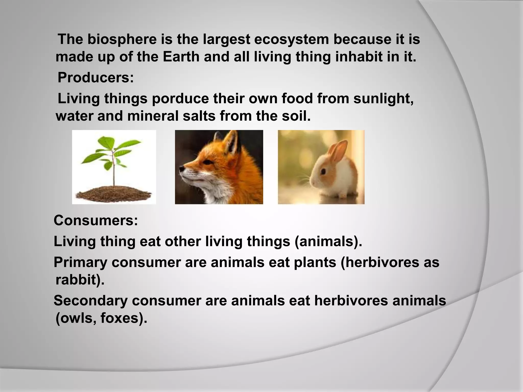 Unit 6 The Biosphere | PPTX