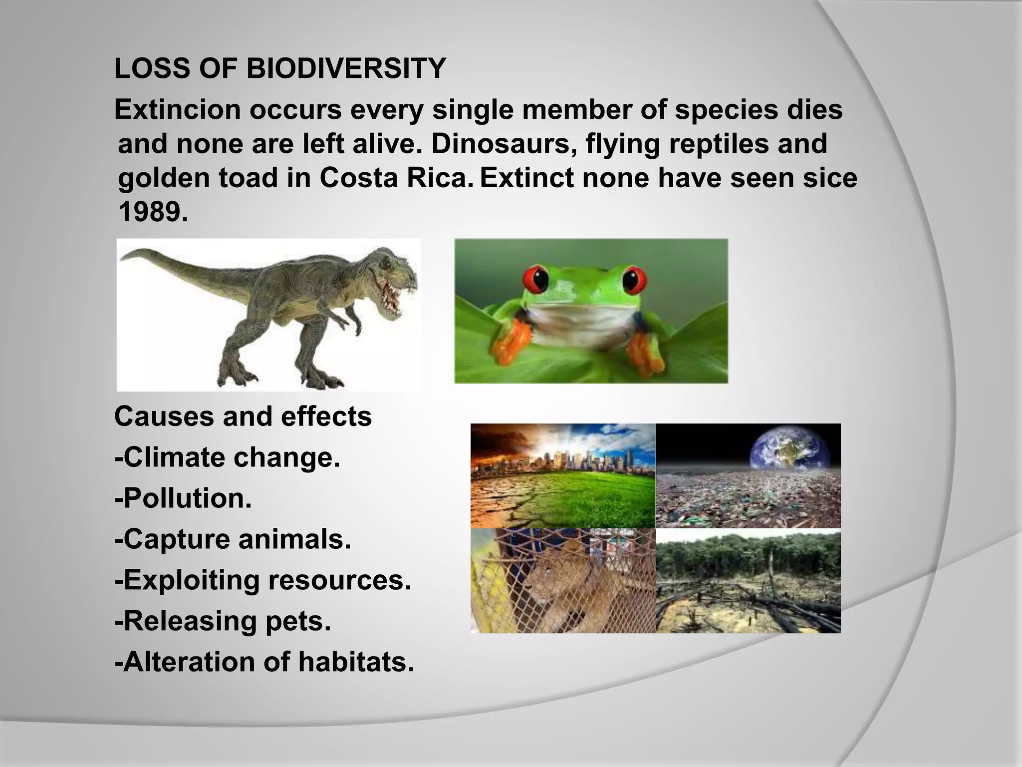 Unit 6 The Biosphere | PPTX