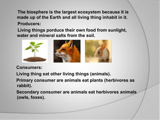 Unit 6 The Biosphere | PPTX