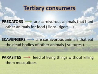 Unit 6 the biosphere | PPT