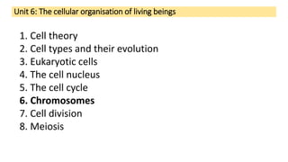 Unit 6_The cellular organisation of living beings.pptx