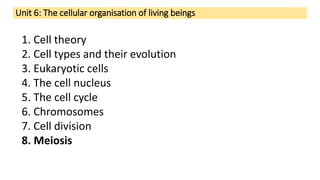 Unit 6_The cellular organisation of living beings.pptx