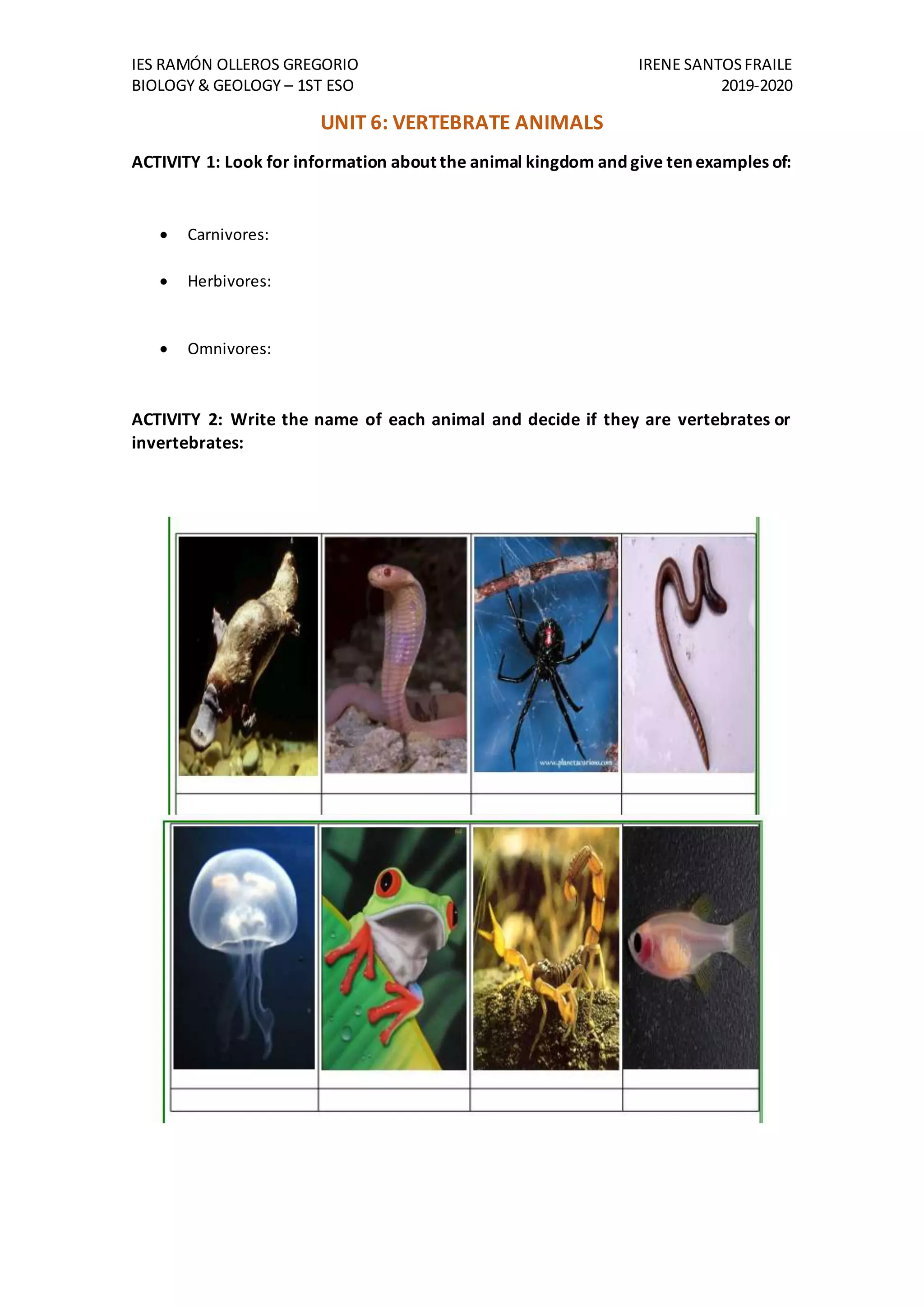 Unit 6 vertebrate animals | DOCX