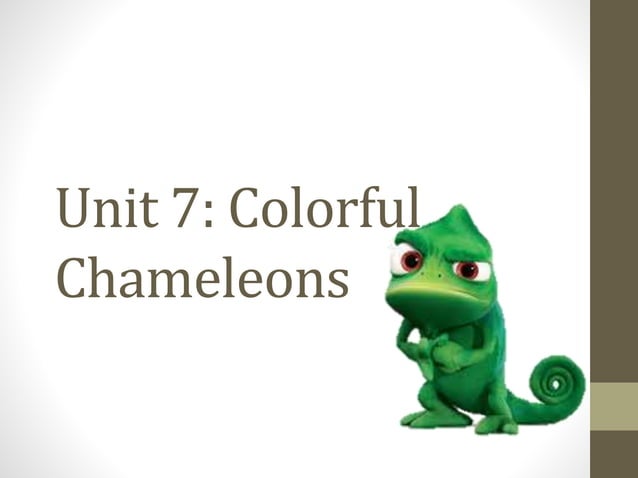 Unit 7: Colorful chameleons | PPTX