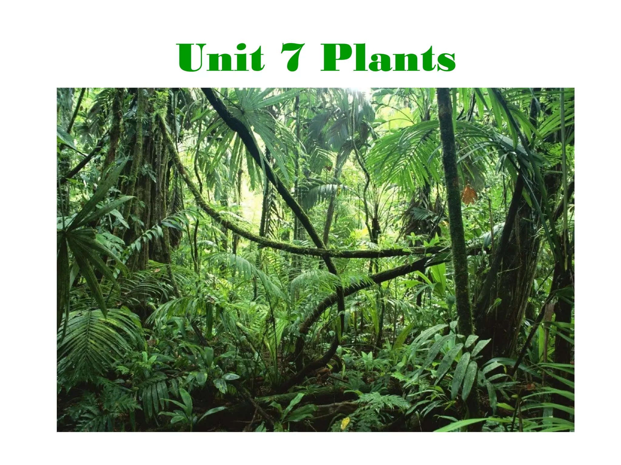 Unit 7.plants | PPT