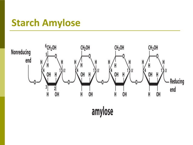 Unit 7 Carbohydrates | PPT