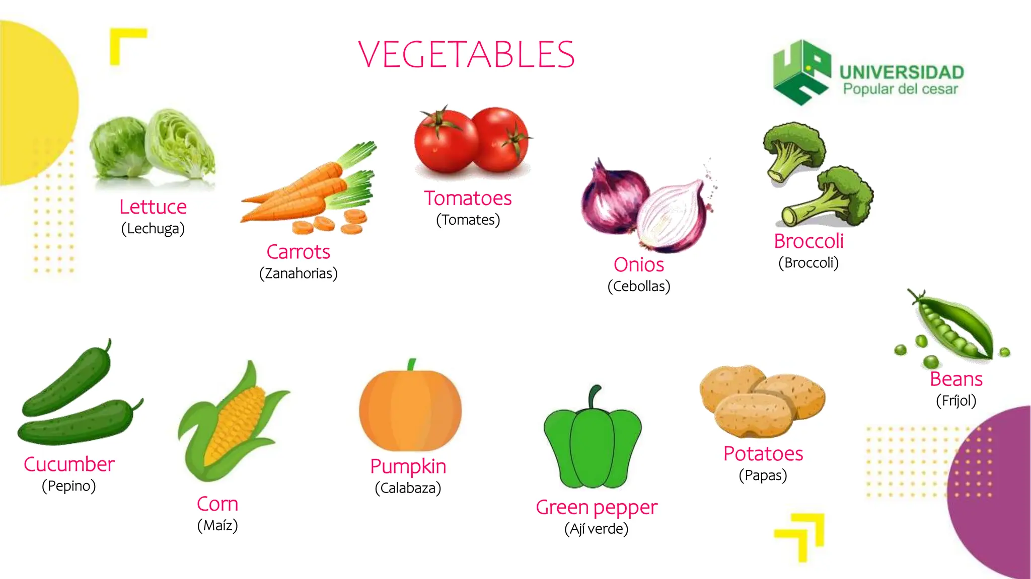 Food vocabulary, countable and uncountable nouns; quantifiers.pptx