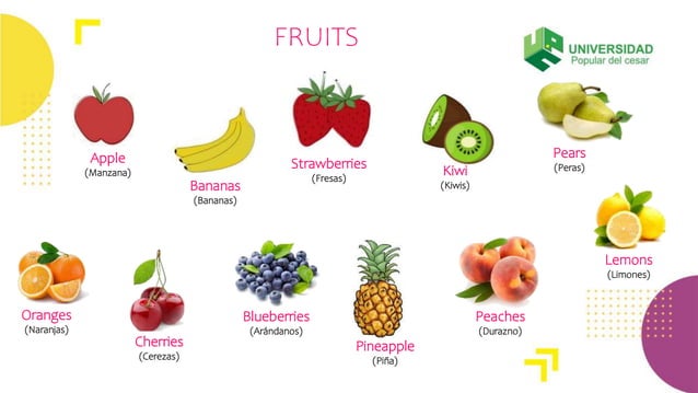 Food vocabulary, countable and uncountable nouns; quantifiers.pptx