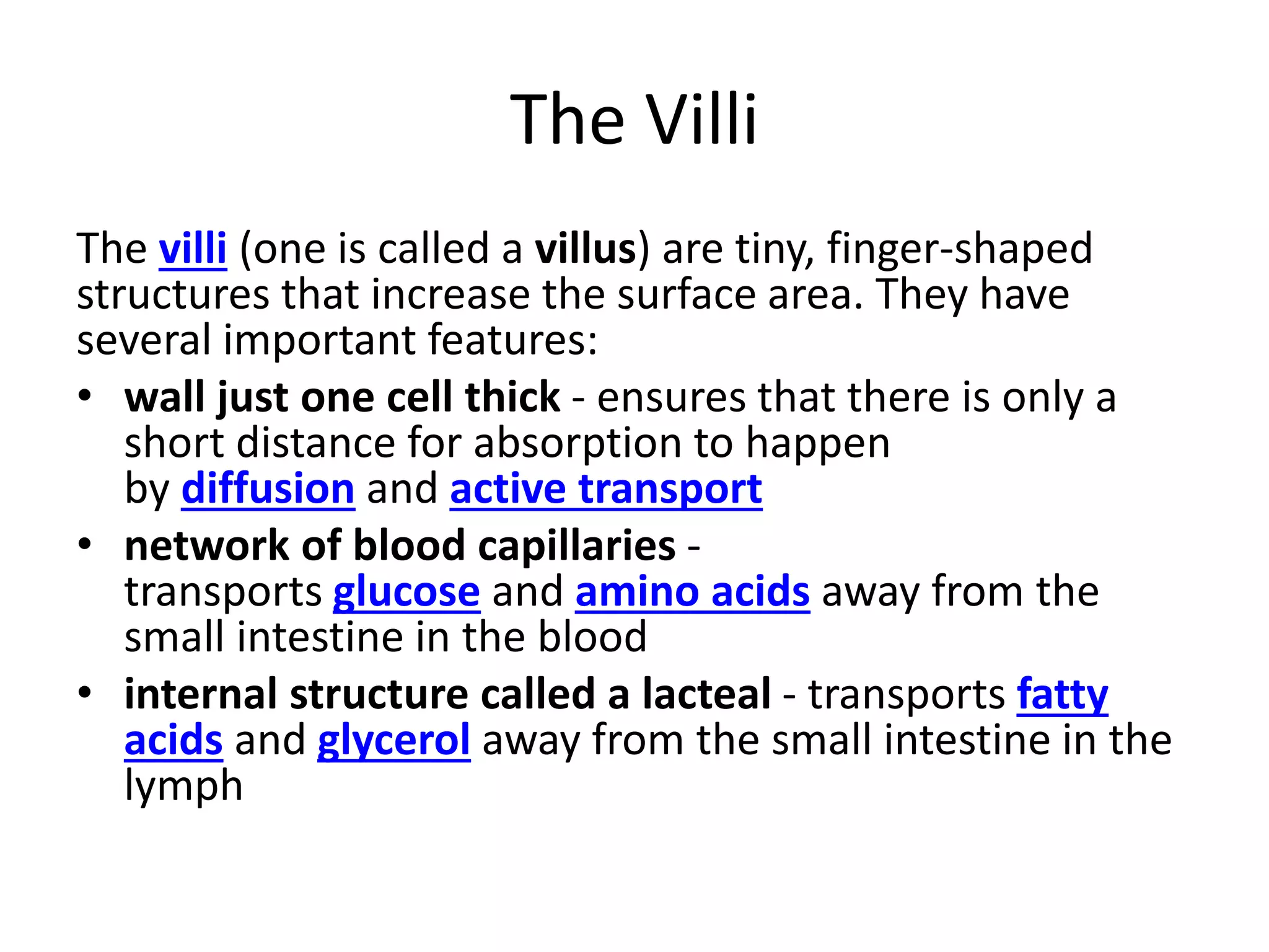 Unit 7 digestion | PPTX