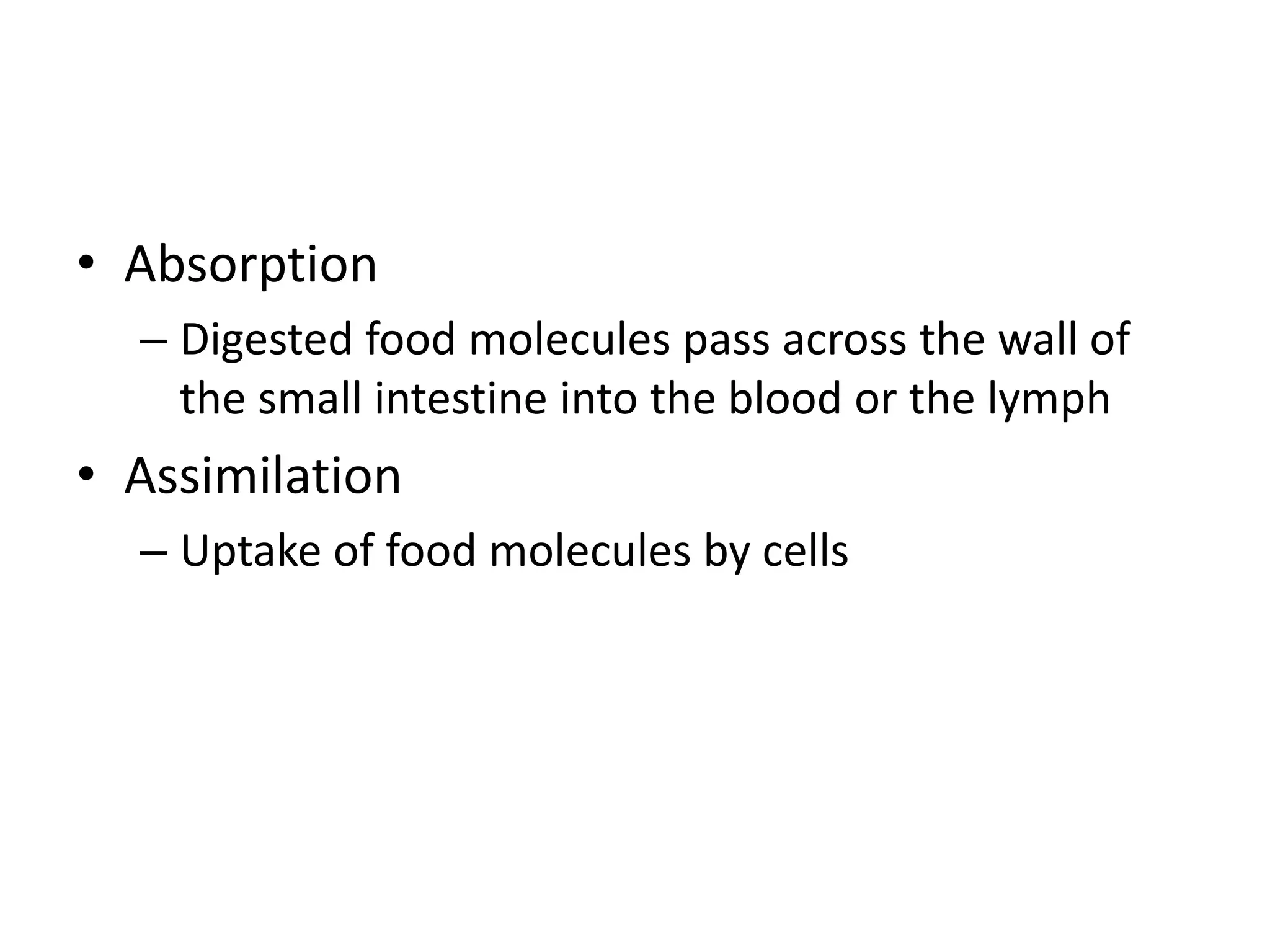 Unit 7 digestion | PPTX