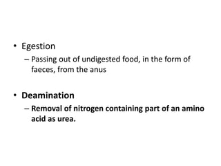 Unit 7 digestion | PPTX