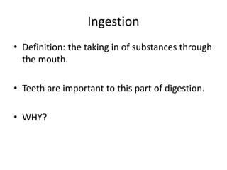 Unit 7 digestion | PPTX