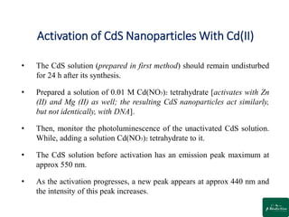Probing of DNA structured with Nanoparticles | PPT