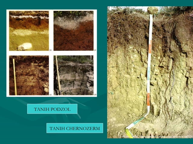 Unit 7 taburan sumber | PPT