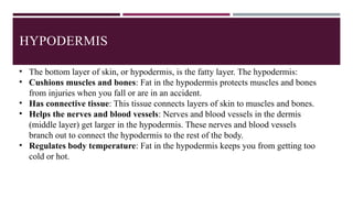 UNIT 7 - The Integumentary System bsn.pptx
