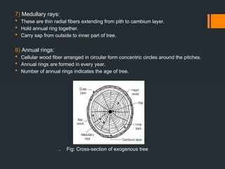 Unit_7-_Timbercivilengieeringmaterials.pptx