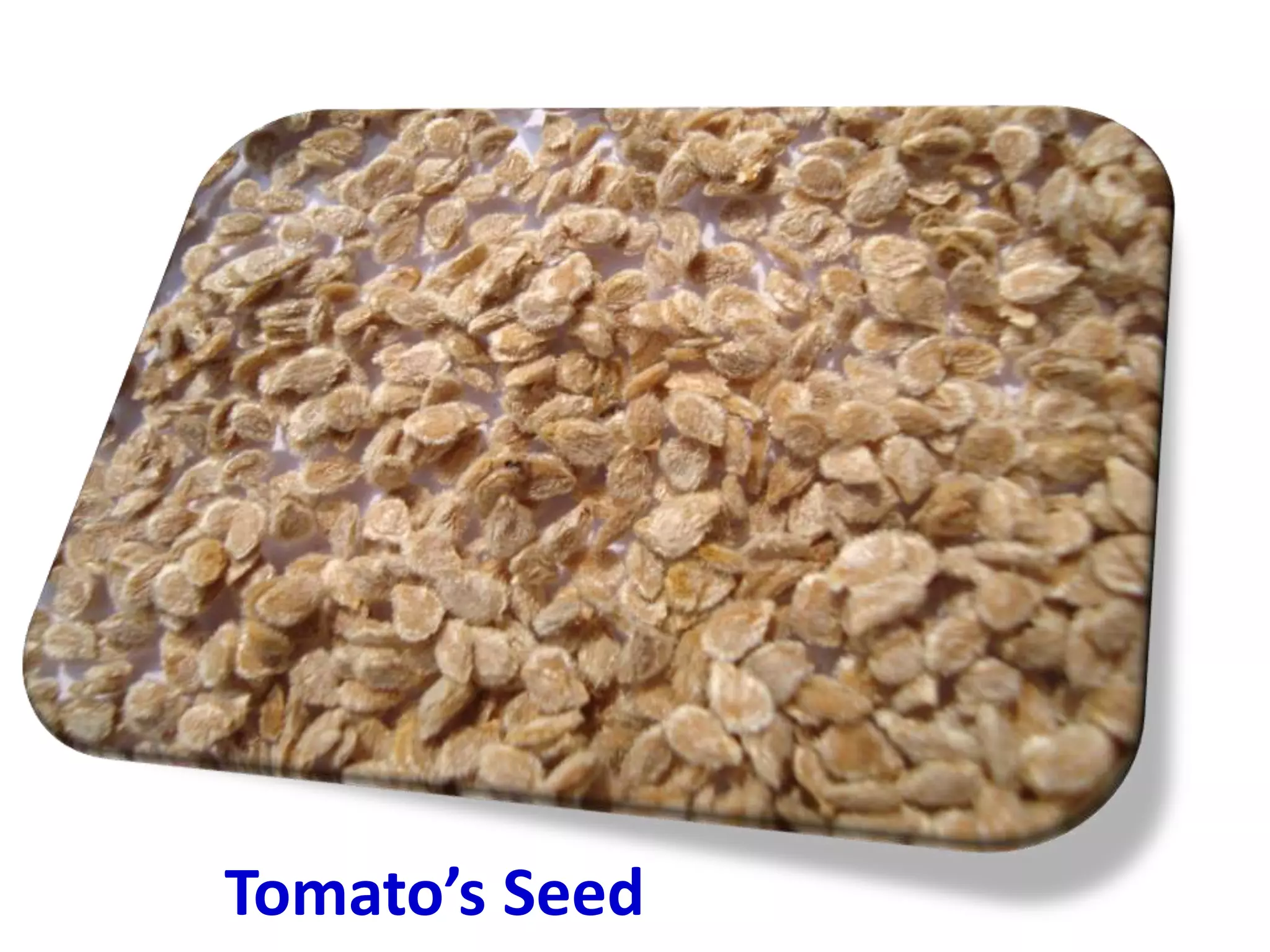 Unit 7 Cereal & Vegetable seed Identification Seeds.pptx