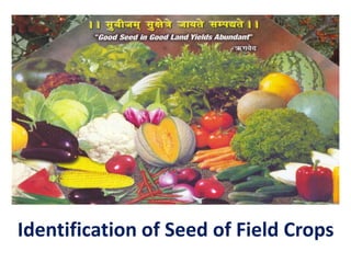 Unit 7 Cereal & Vegetable seed Identification Seeds.pptx
