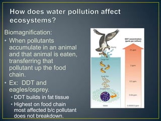 Unit 7 ch 11 s3 water pollution | PPT