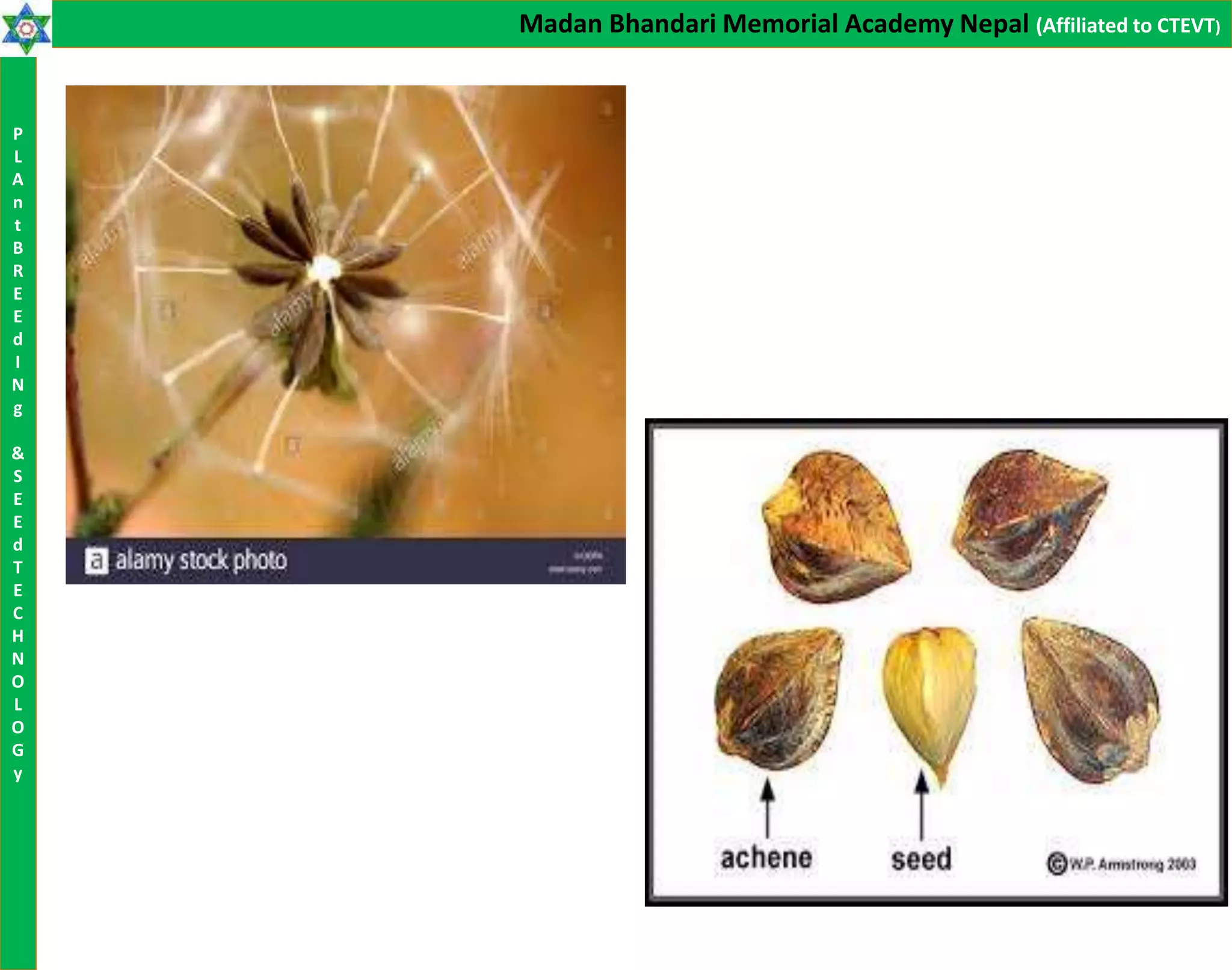 Unit 7 Definition of Seed and Seed materials.pptx