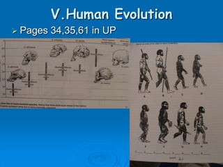 Unit 7 evolution 1 | PPT