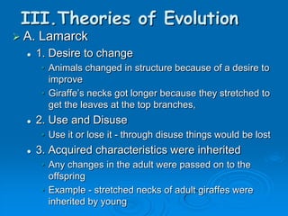 Unit 7 evolution 1 | PPT