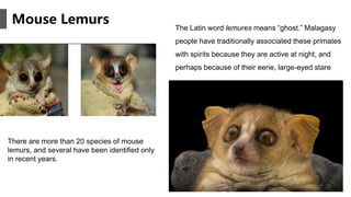 Unit 7 exploration discovery | PPT