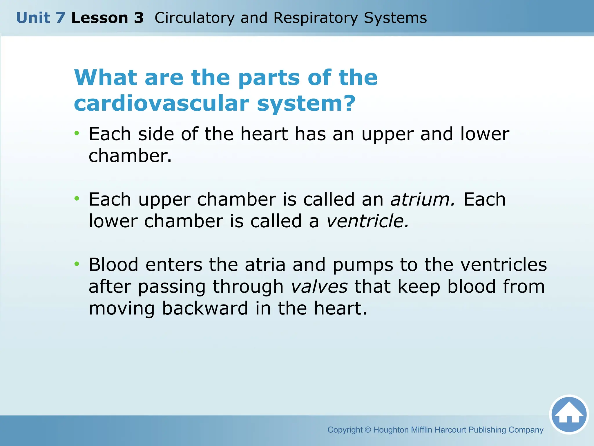 Unit 7 Lesson 3 Circulatory and Respitory.ppt