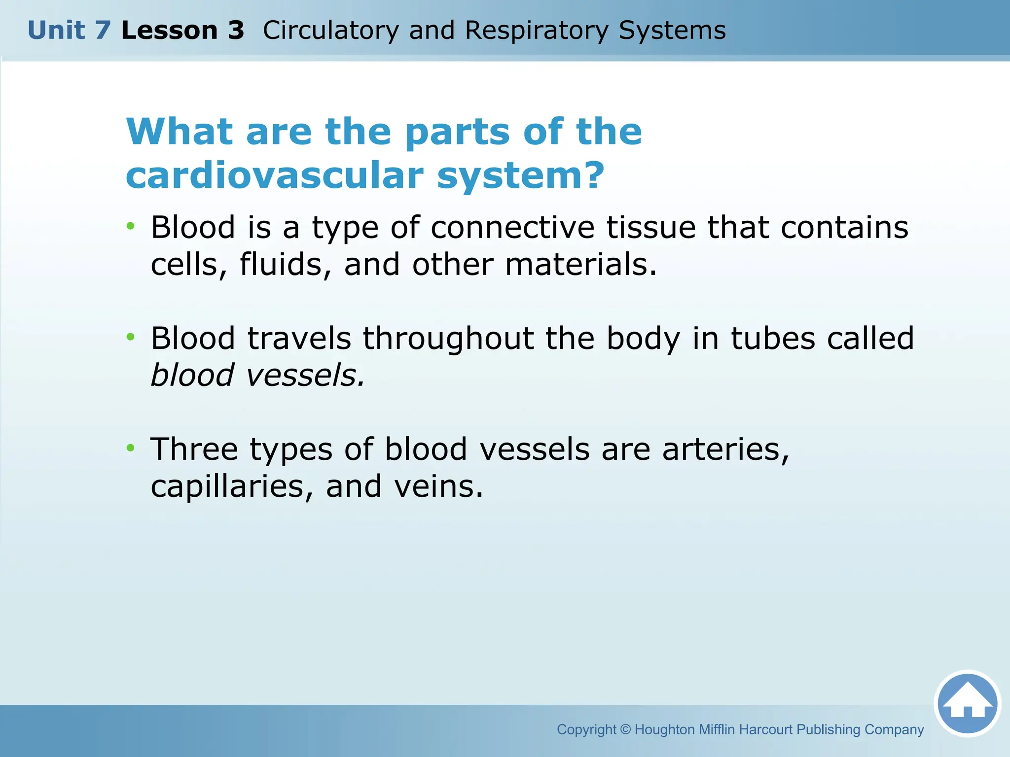Unit 7 Lesson 3 Circulatory and Respitory.ppt