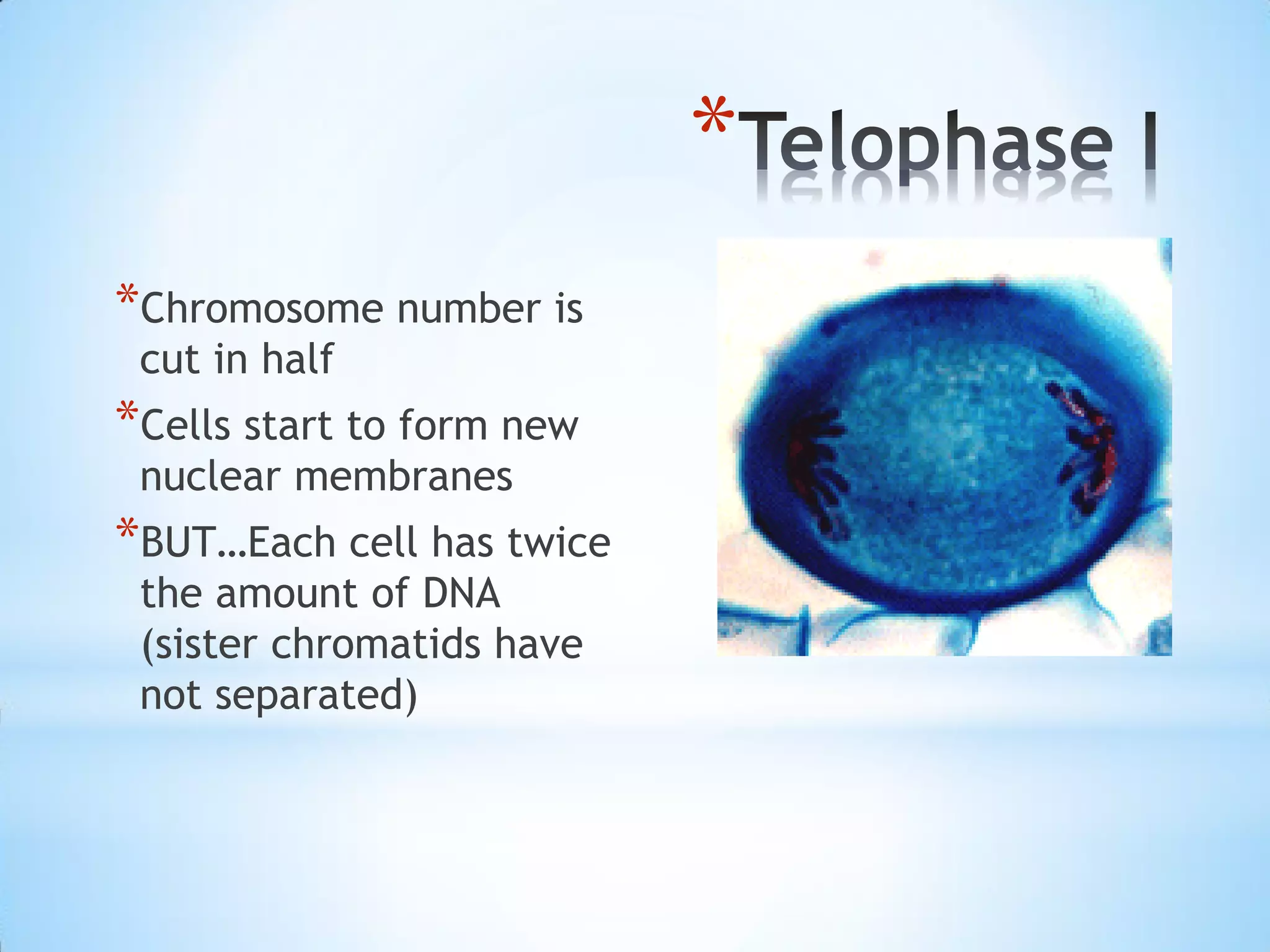 Unit 7 meiosis powerpoint (revised2006) | PPT