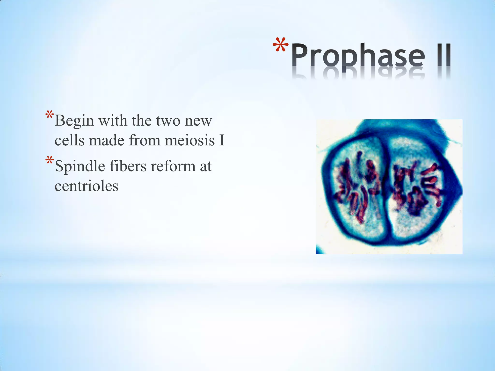 Unit 7 meiosis powerpoint (revised2006) | PPT