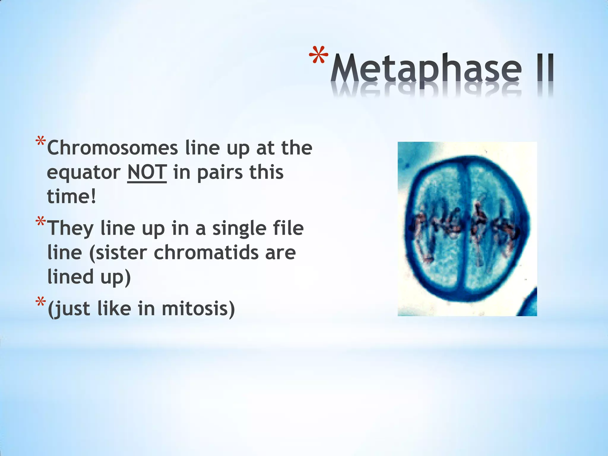 Unit 7 meiosis powerpoint (revised2006) | PPT