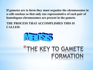 Unit 7 meiosis powerpoint (revised2006) | PDF